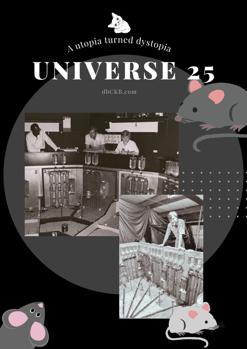 Lessons from Universe 25: What a mouse experiment can teach us about ...
